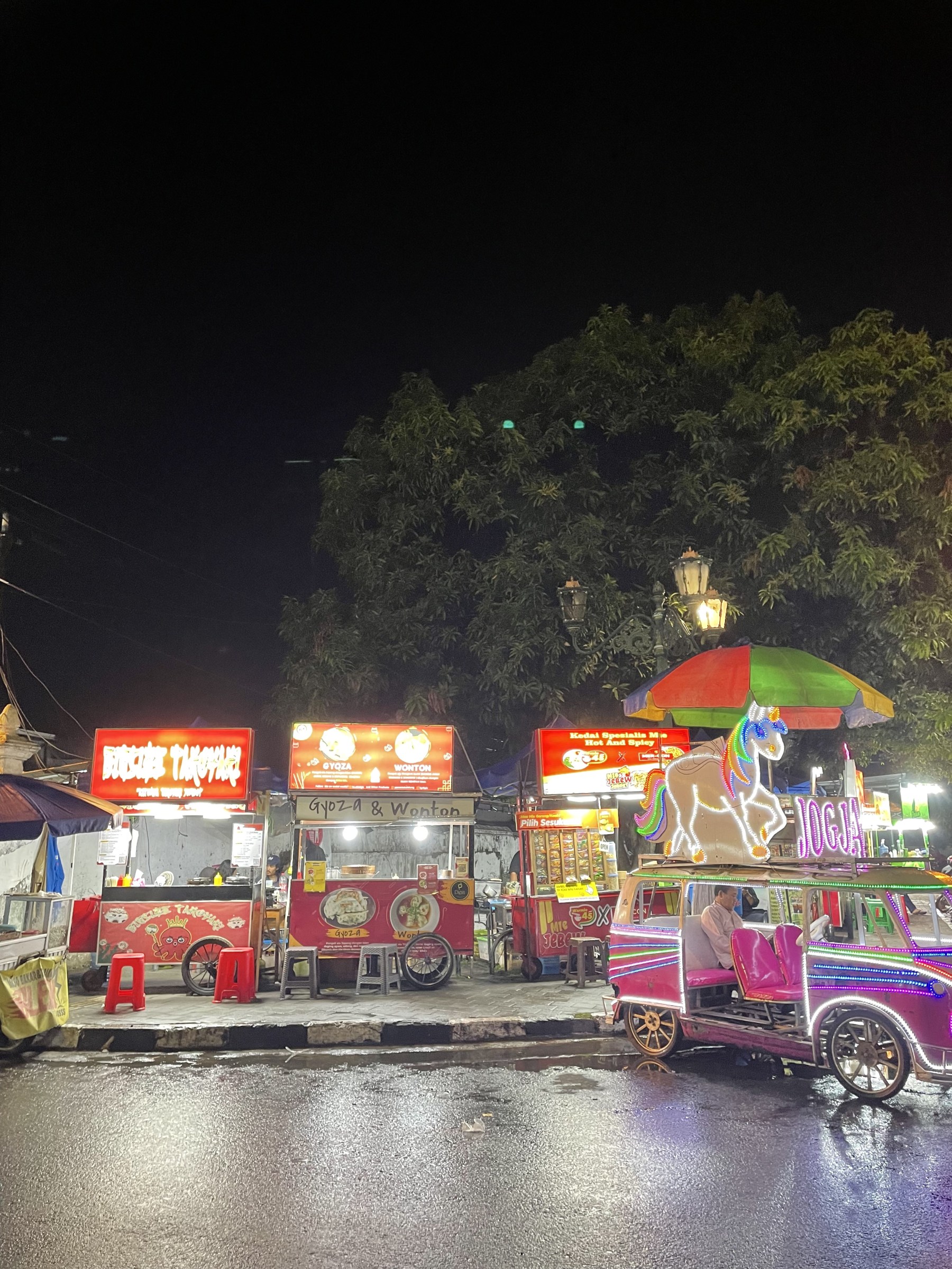 Que faire et que voir à Java, mes 10 incontournables – Roro voyage